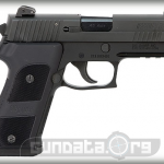 Sig Sauer P220 Carry Elite Dark Review & Price GunData.org