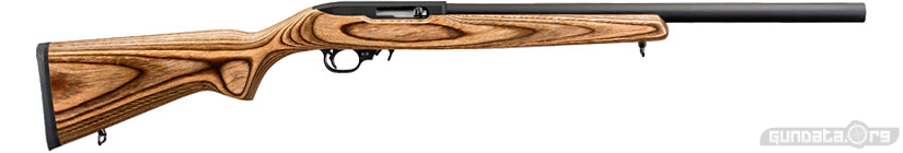 Ruger 10 22 Target Review & Price GunData.org