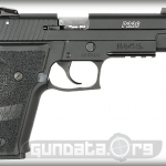 Sig Sauer P226 Classic 22 Review & Price GunData.org