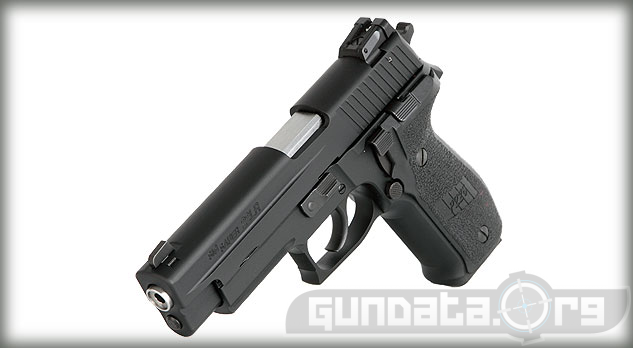 Sig Sauer P226 Classic 22 Review & Price GunData.org