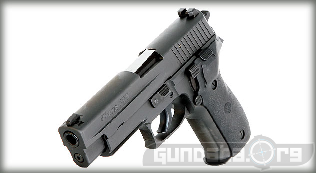 Sig Sauer P226 Stainless Nitron Review & Price GunData.org