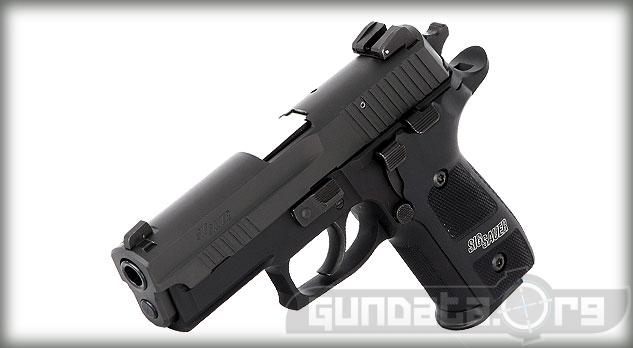 Sig Sauer P229 Elite Dark Review & Price GunData.org