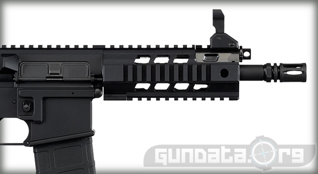 Sig Sauer P516 7.5 Review & Price GunData.org