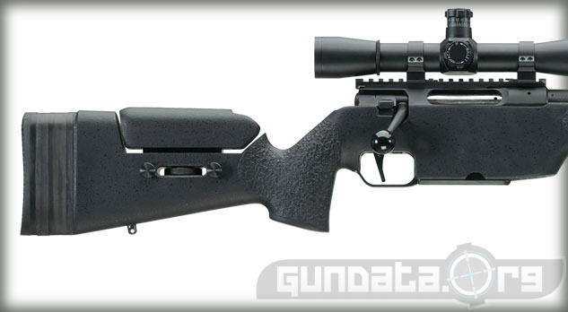 Sig Sauer SSG 3000 Review & Price GunData.org