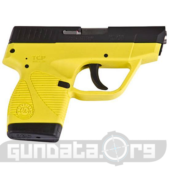 738 Color Change, How Hard? | Taurus Firearm Forum